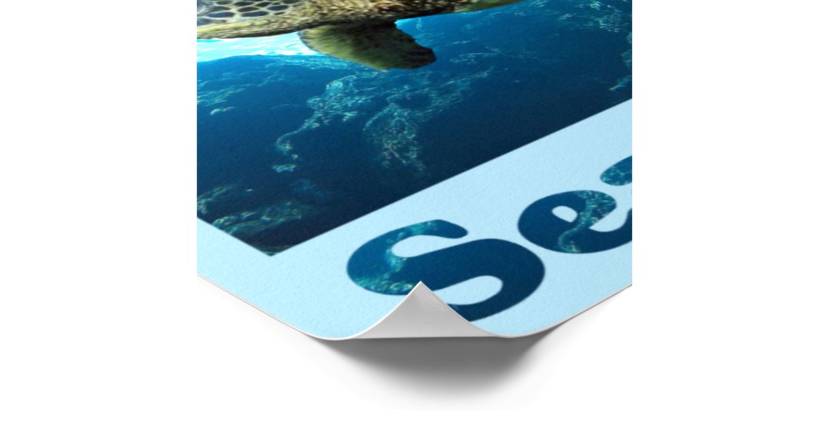 Save the Sea Turtles Poster | Zazzle
