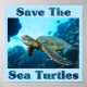 Save the Sea Turtles Poster | Zazzle