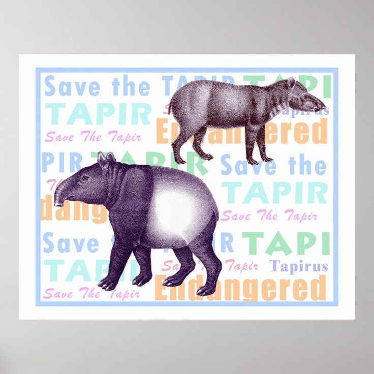 Save the Tapir Poster - American & Asian Tapirs | Zazzle