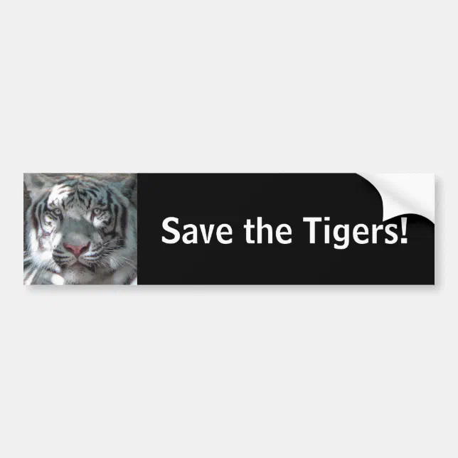 Save the Tigers Bumper Sticker | Zazzle