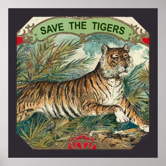 Save The Tigers Poster | Zazzle