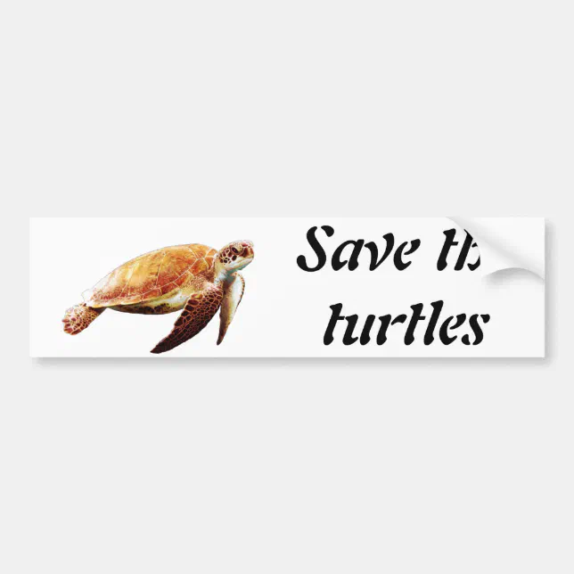 Save the turtles bumper sticker | Zazzle