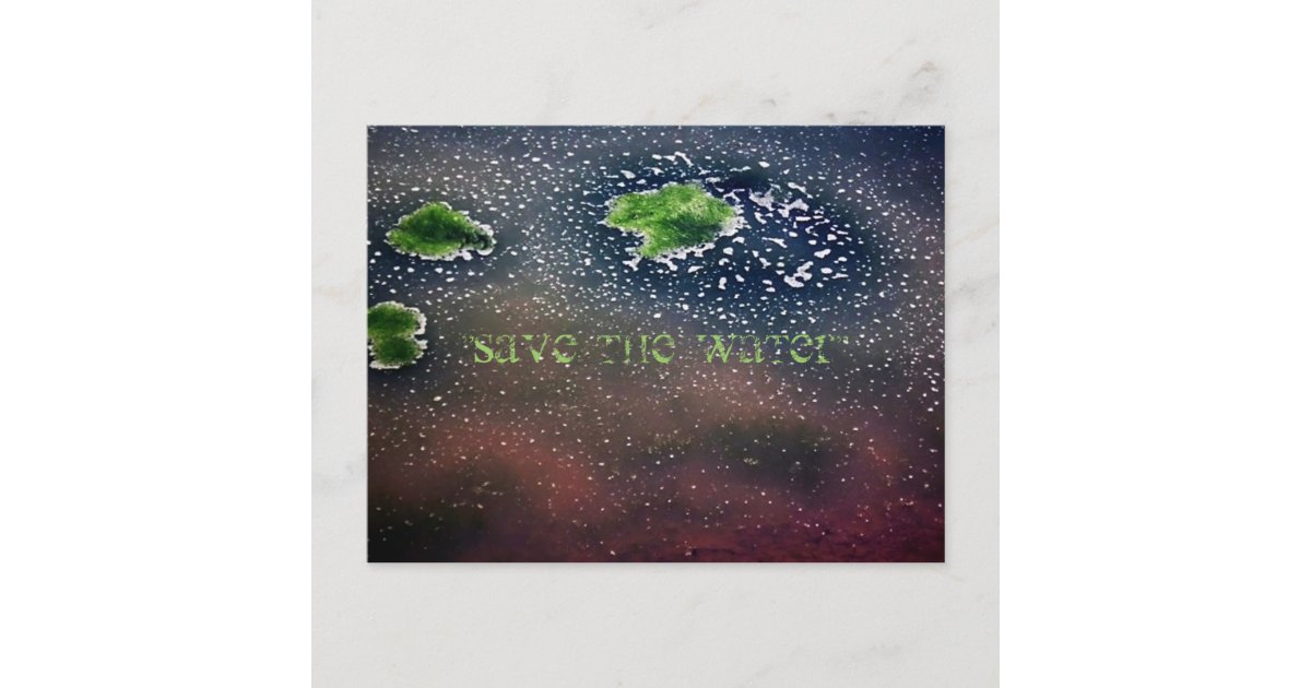 "Save the Water" Postcard | Zazzle