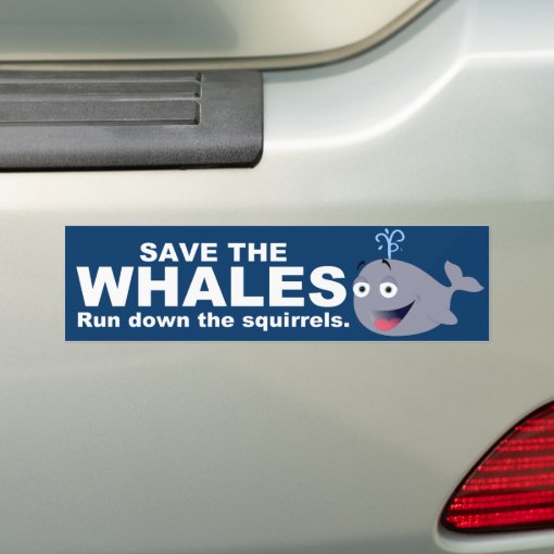 Save The Whales, Not The Squirrels Bumper Sticker | Zazzle