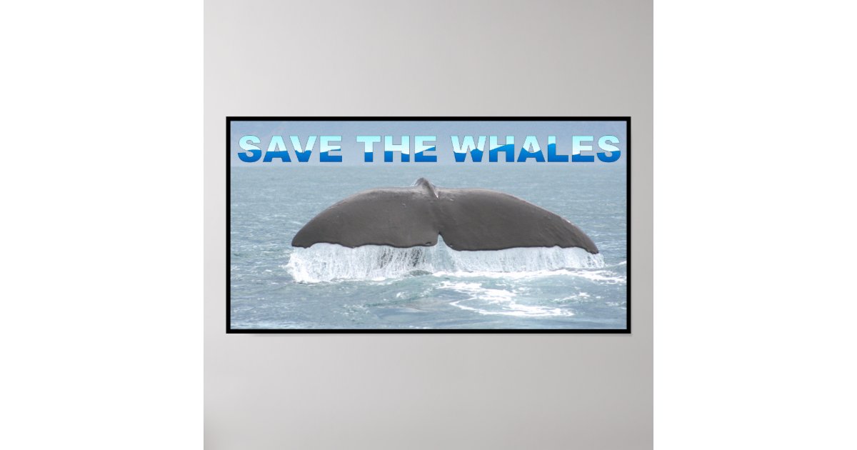 Save the Whales Poster | Zazzle