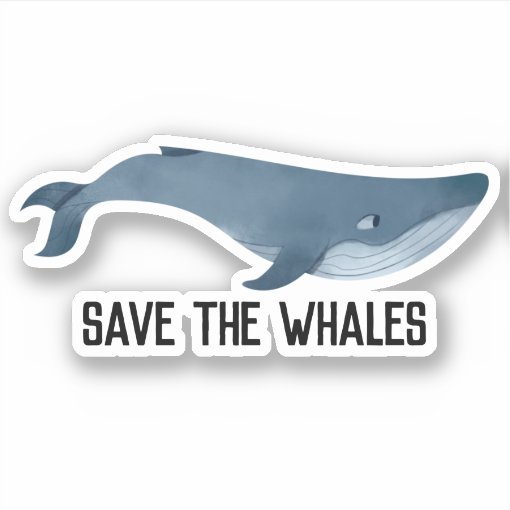 Save the Whales Sticker | Zazzle