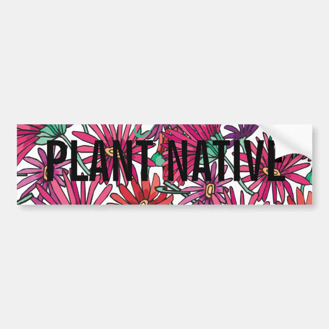 Save Water - Plant Native Bumper Sticker | Zazzle