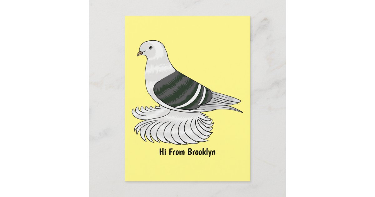 Saxon Shield pigeon bird cartoon illustration Postcard | Zazzle