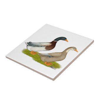 Saxony Ducks Ceramic Tile | Zazzle