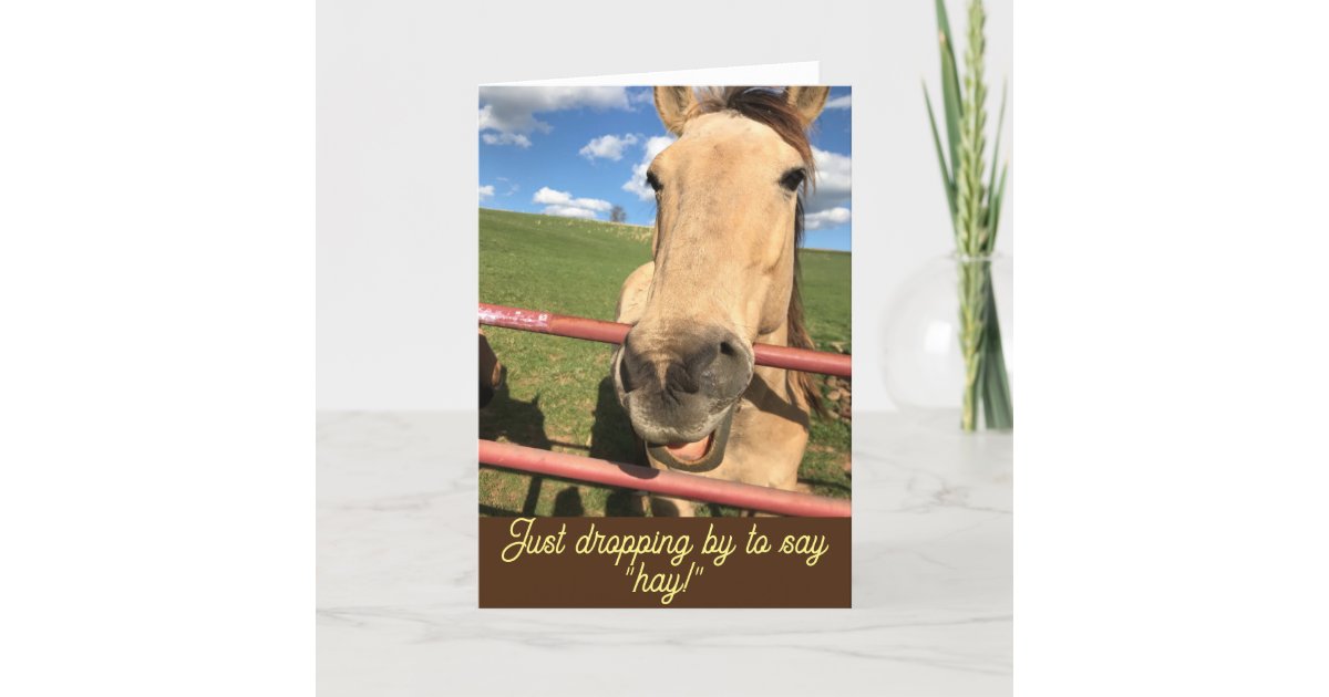 Say Hi, Greeting Card | Zazzle
