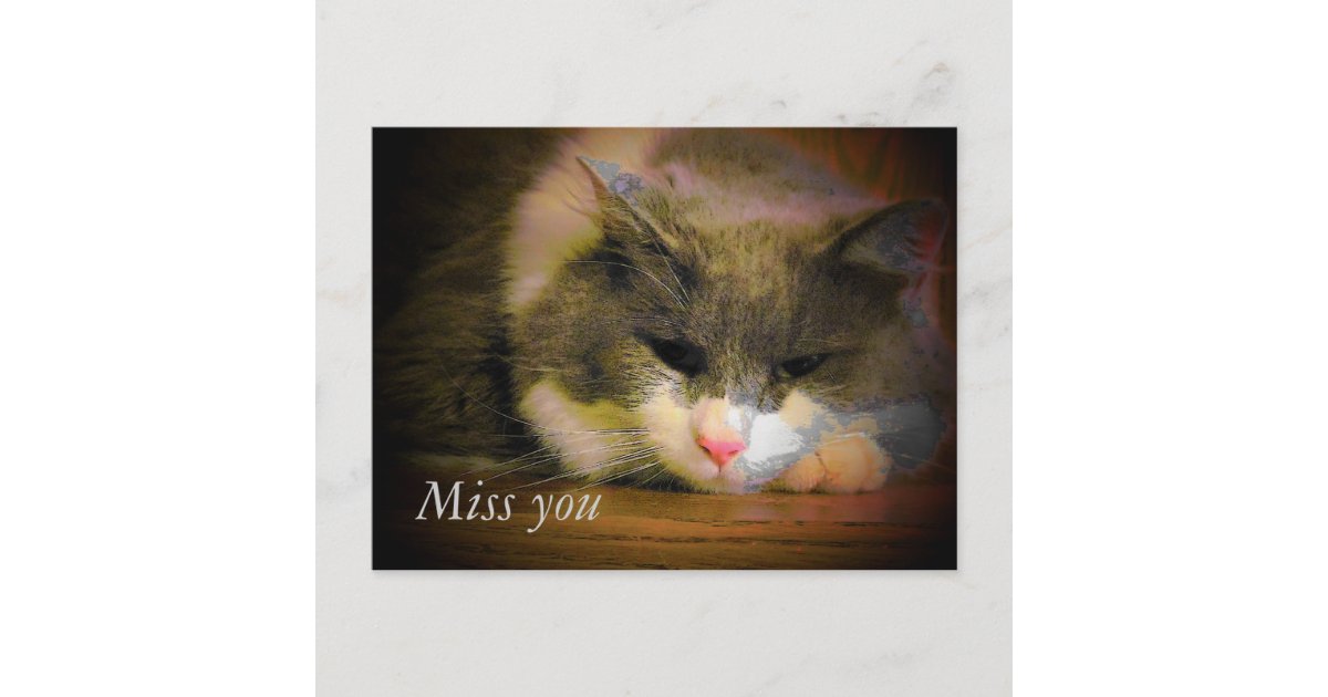 Say I Miss You With This Cute Sad Cat Postcard | Zazzle