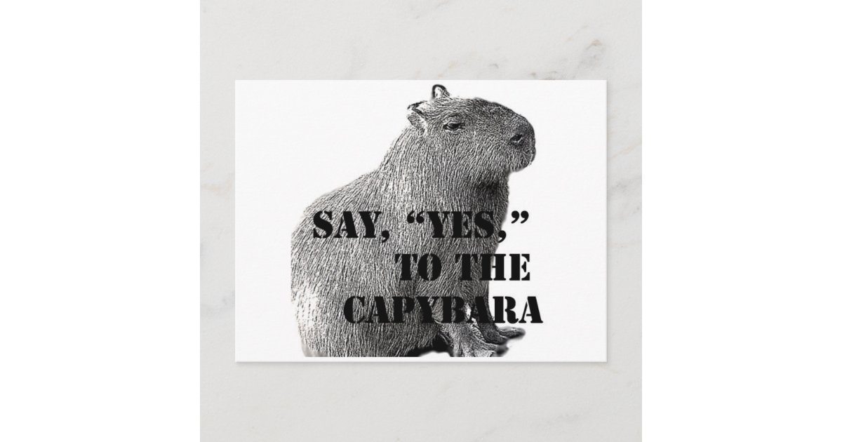 Say, "Yes," To The Capybara Postcard | Zazzle