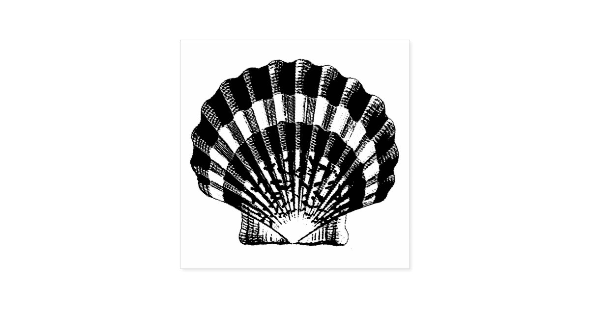 Scallop Shell Vintage Illustration Self-inking Stamp | Zazzle