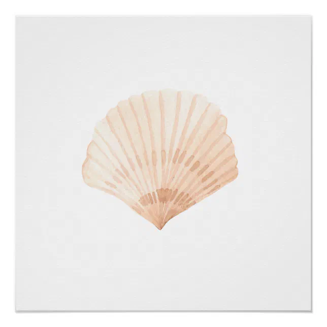 Scallop Shell Watercolor Print | Zazzle