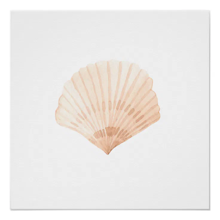 Scallop Shell Watercolor Print | Zazzle