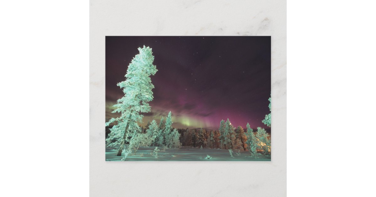Scandinavia, Finland, Lapland, Kakslauttanen, Postcard | Zazzle