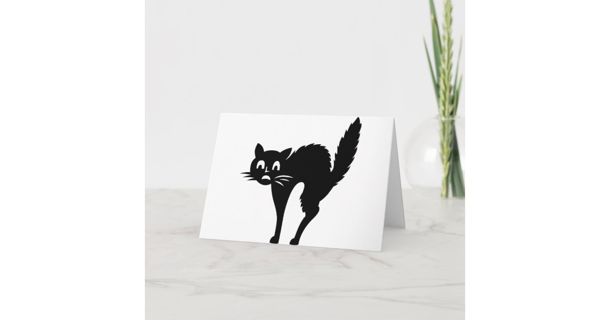 Scaredy cat birthday card | Zazzle