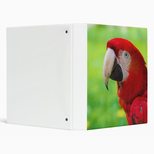 Scarlet Macaw Ara Macao American Parrot Binder | Zazzle