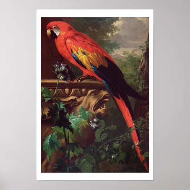 Scarlet Macaw in a Landscape (oil on canvas) Poster | Zazzle