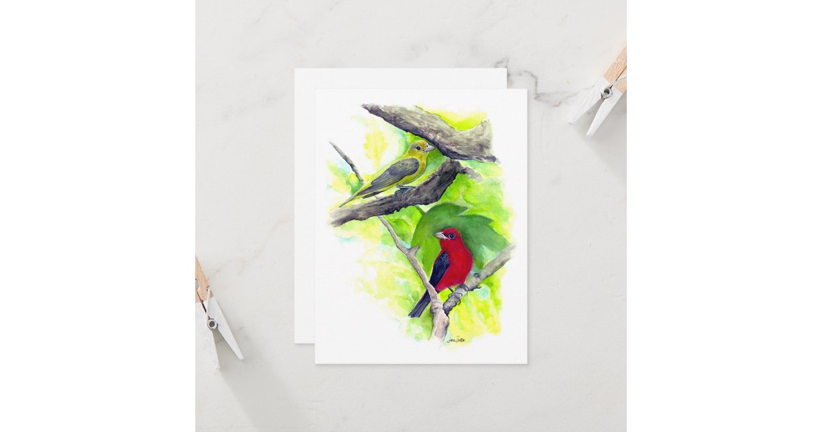 Scarlet Tanager Couple Note Card | Zazzle
