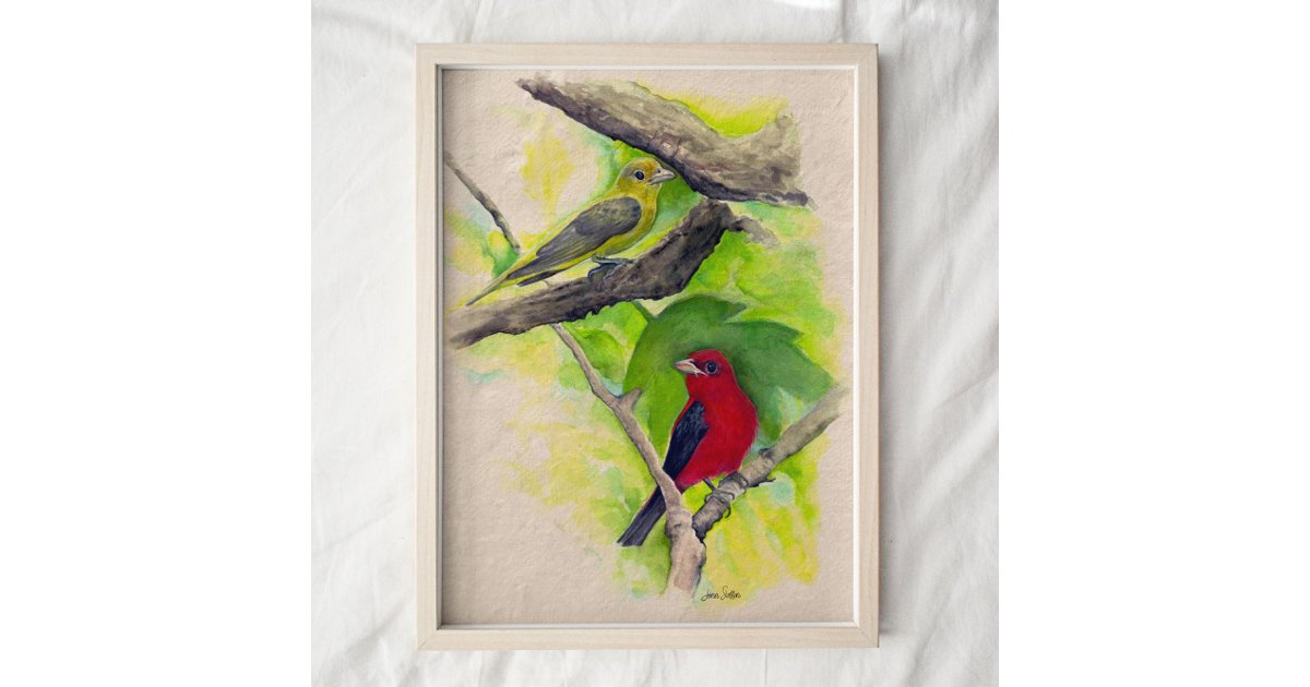 Scarlet Tanagers Birds Watercolor Art Print | Zazzle