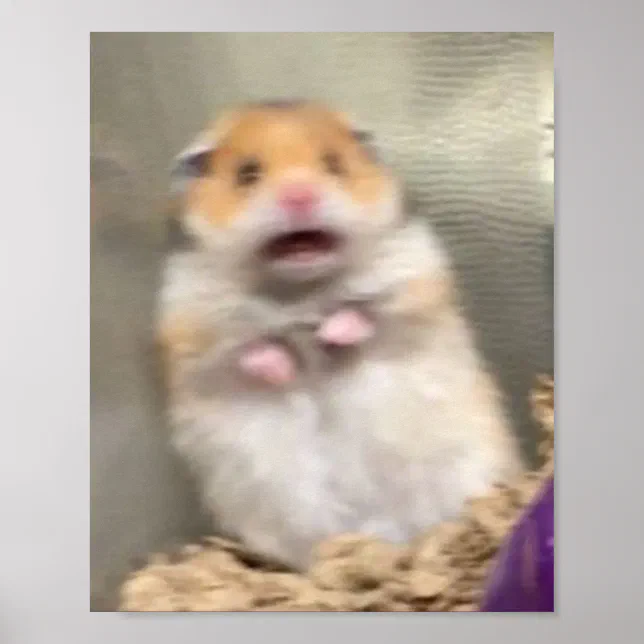 Scarred Hamster Poster | Zazzle