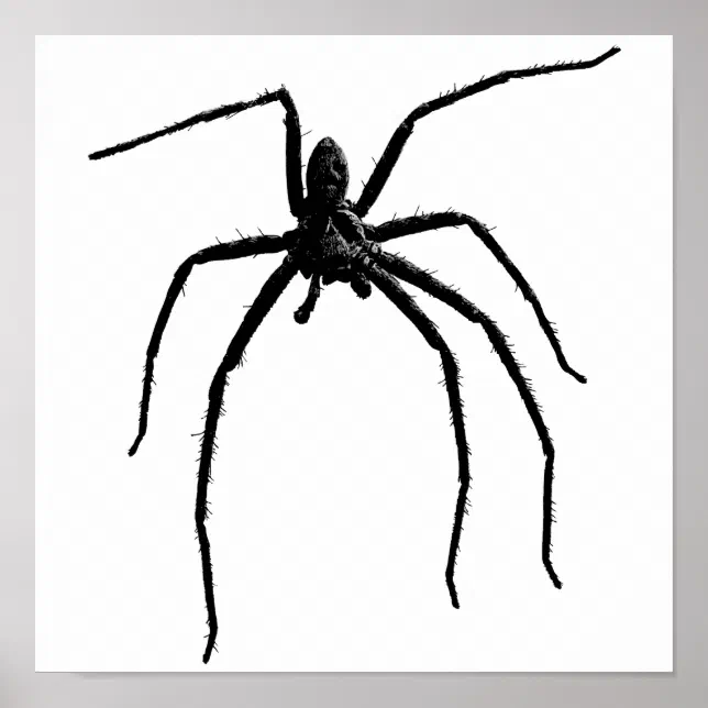 Scary big halloween spider poster | Zazzle