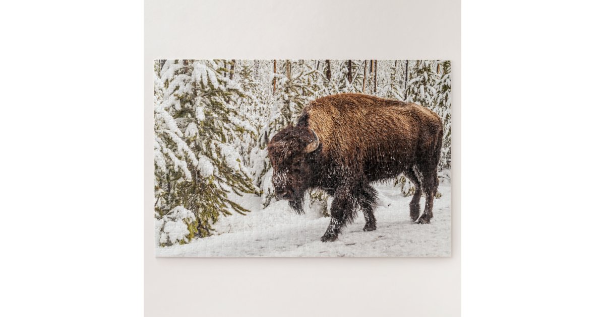 Scary Bison (Bison bison) - Buffalo - 1014 piece Jigsaw Puzzle | Zazzle