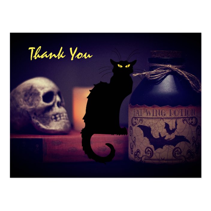 Scary Black Cat and Skull Halloween Thank You Postcard | Zazzle.com
