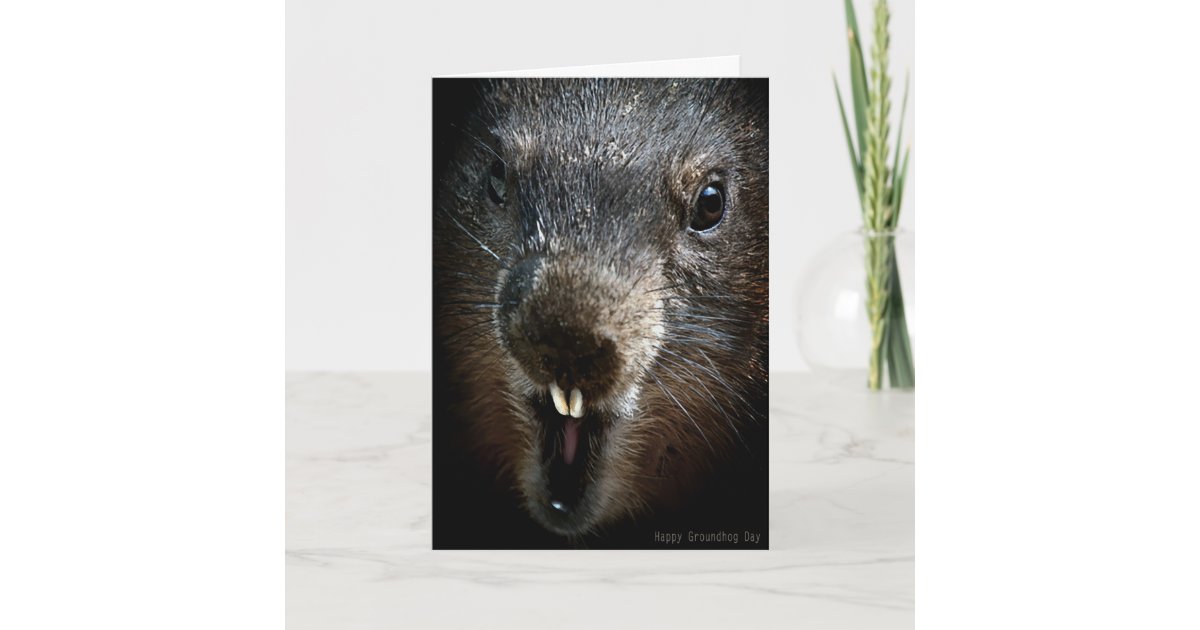 Scary Groundhog Day Card | Zazzle