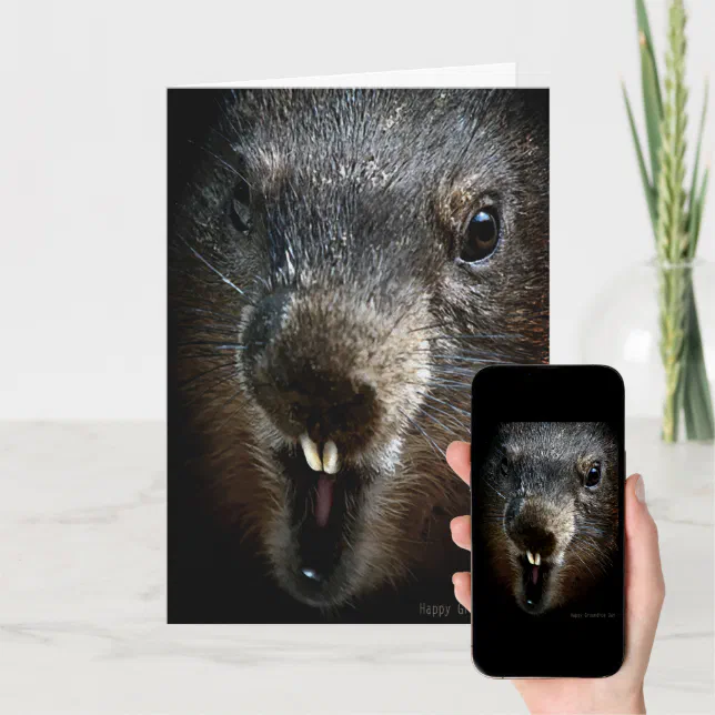 Scary Groundhog Day Card | Zazzle