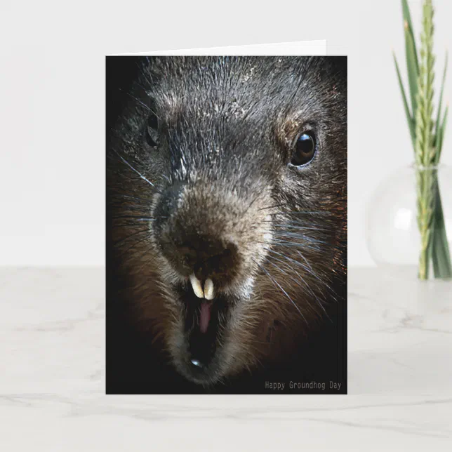 Scary Groundhog Day Card | Zazzle