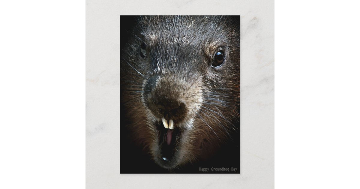 Scary Groundhog Day Postcard | Zazzle