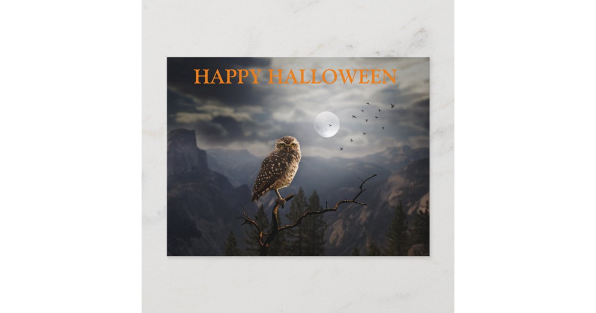 Scary Halloween Night with Owls Postcard | Zazzle