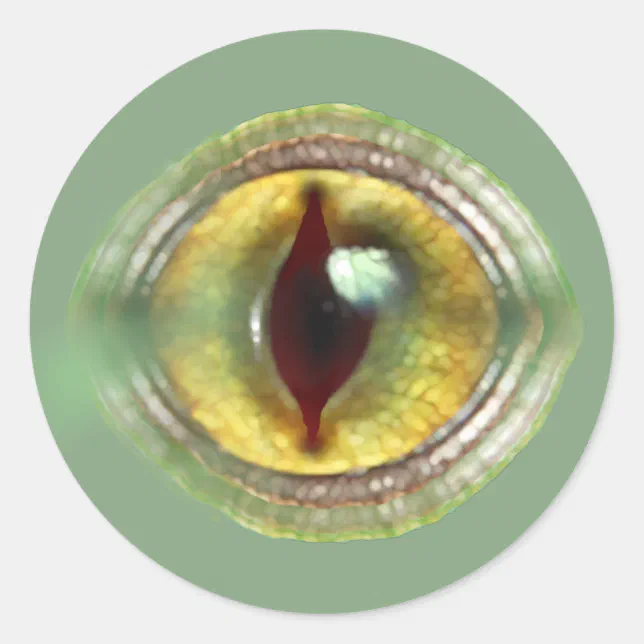 Scary Lizard Reptile Dragon Dinosaur Monster Eye Classic Round Sticker ...