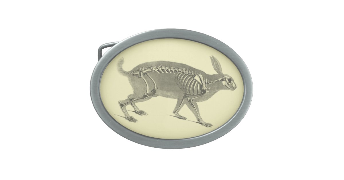 Scary vintage bunny skeleton belt buckle | Zazzle