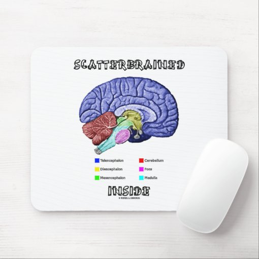Scatterbrained Inside (Brain Anatomy Humor) Mouse Pad | Zazzle