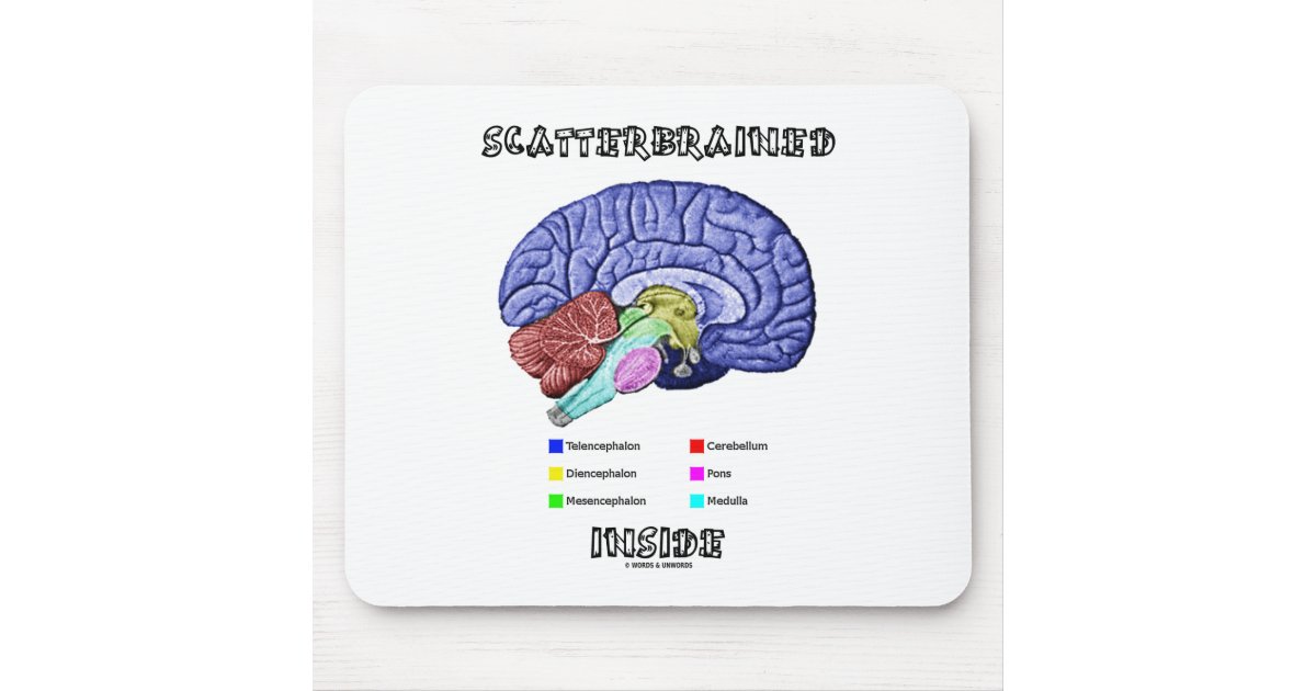Scatterbrained Inside (Brain Anatomy Humor) Mouse Pad | Zazzle