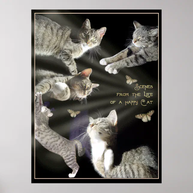 Scenes from the Life of a Happy Cat Poster | Zazzle