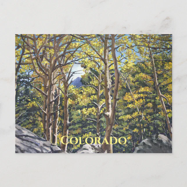 Scenic Aspen Trees in Estes National Park Postcard | Zazzle