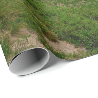 Scenic Hiking Snowy Range Mountain Summit Wyoming Wrapping Paper | Zazzle