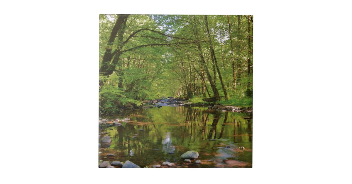 Scenic of Wilson River Ceramic Tile | Zazzle