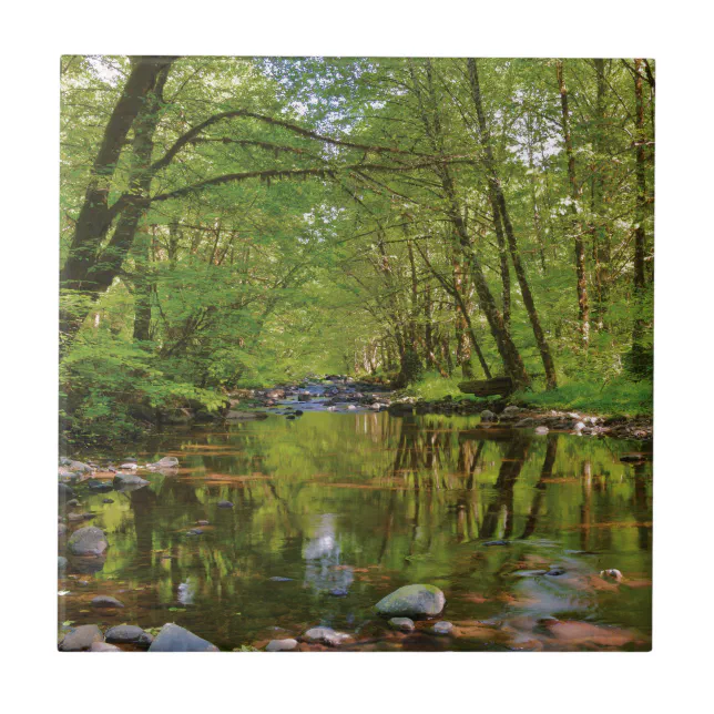 Scenic of Wilson River Ceramic Tile | Zazzle