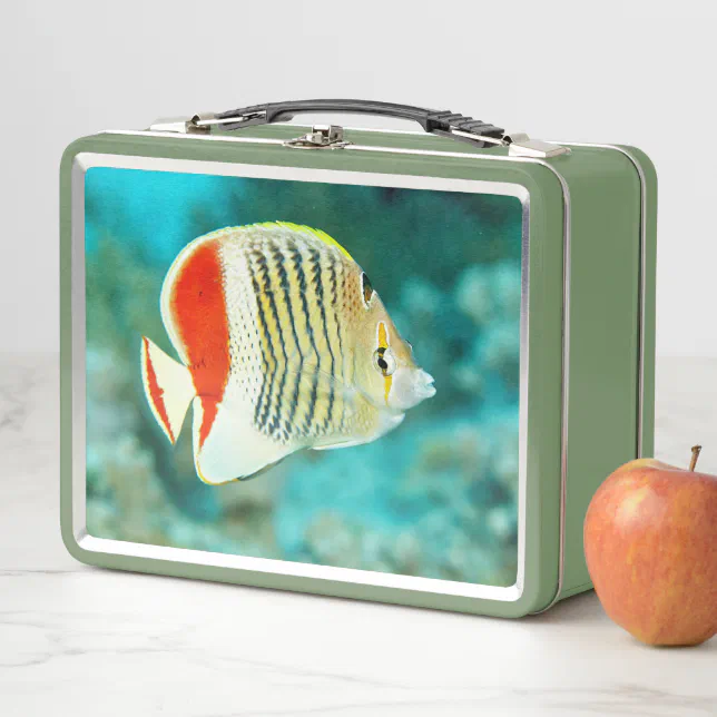 Scenic View of Fish Underwater in the Red Sea Metal Lunch Box | Zazzle
