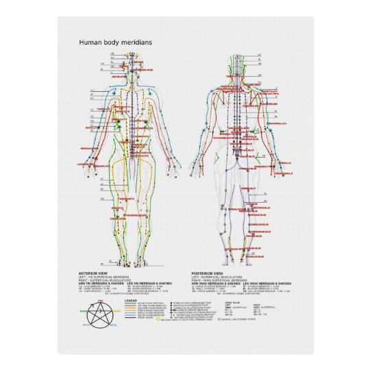 Schematic of the Chinese or Human Body Meridians Postcard | Zazzle.com