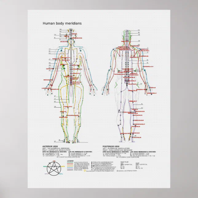 Schematic of the Chinese or Human Body Meridians Poster | Zazzle