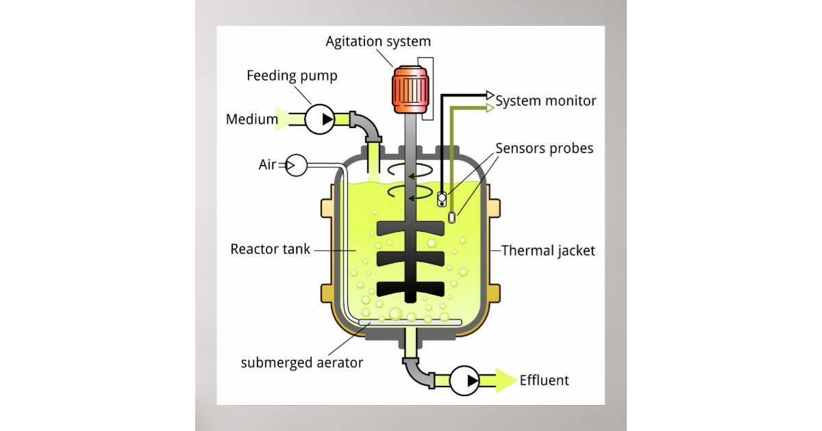 Schematic Structure of a Batch Type Bioreactor Poster | Zazzle