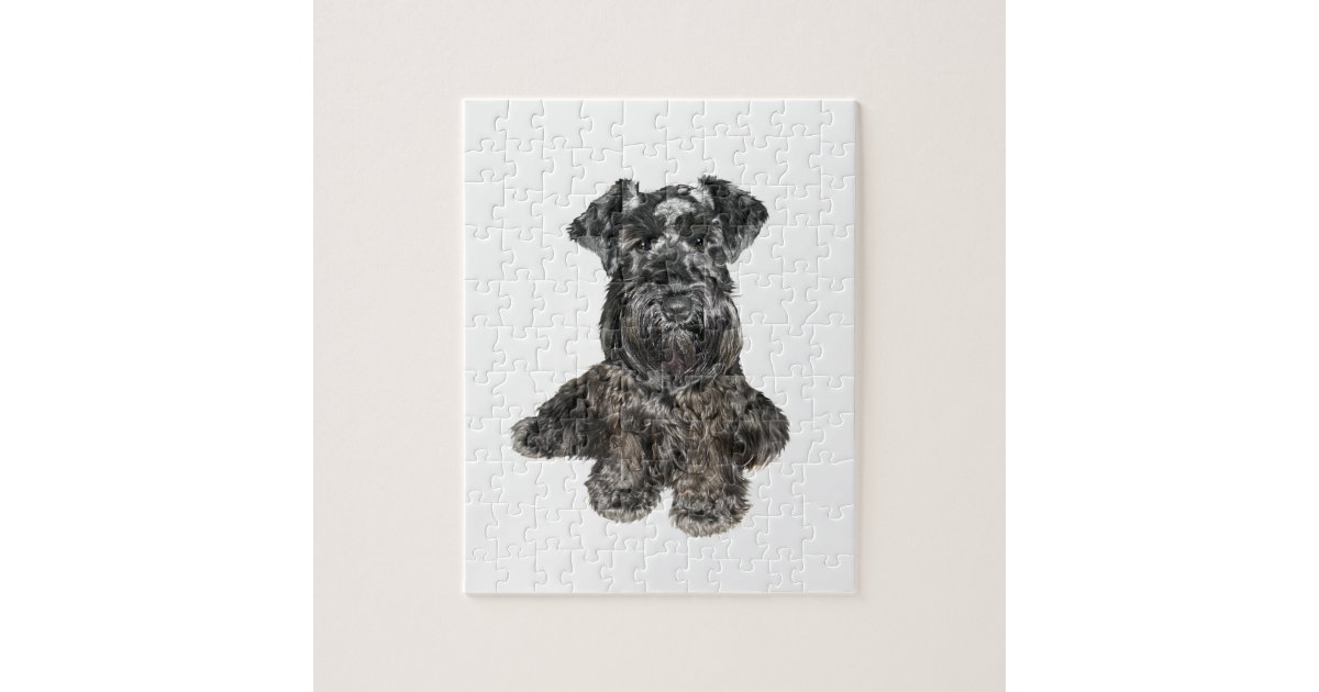 Schnauzer (black) jigsaw puzzle | Zazzle