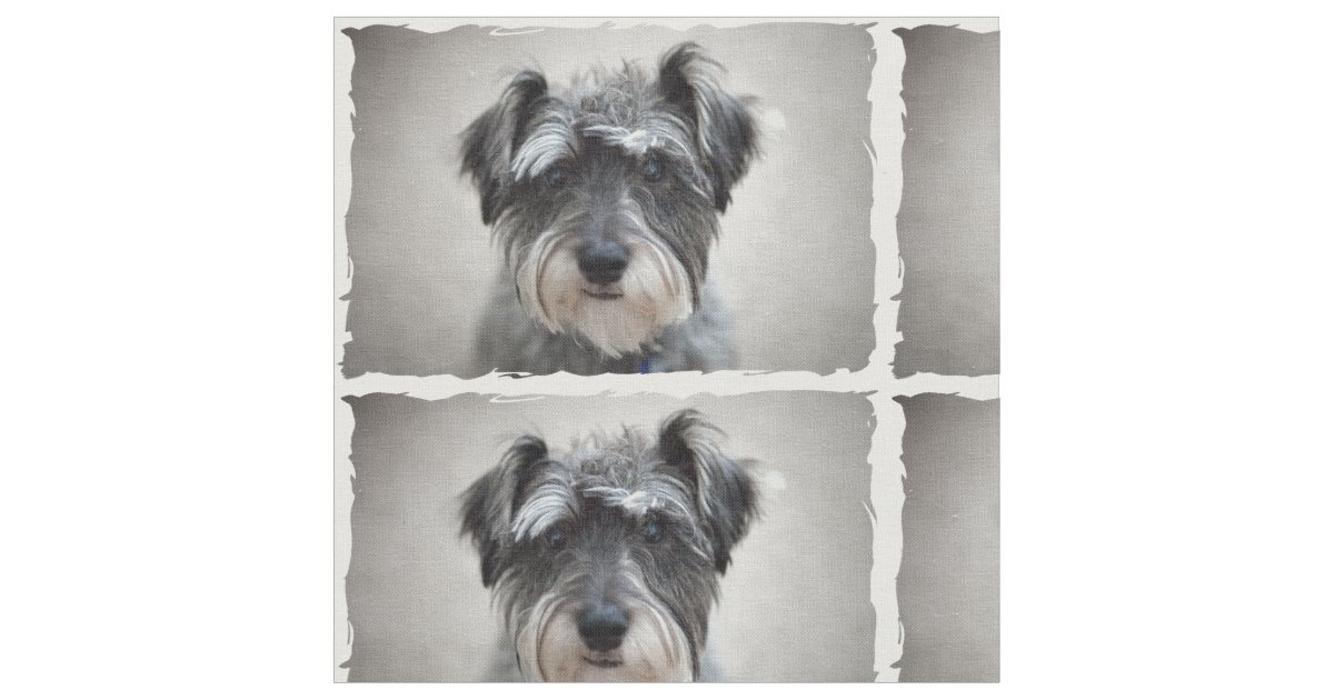 Schnauzer Dog Fabric | Zazzle