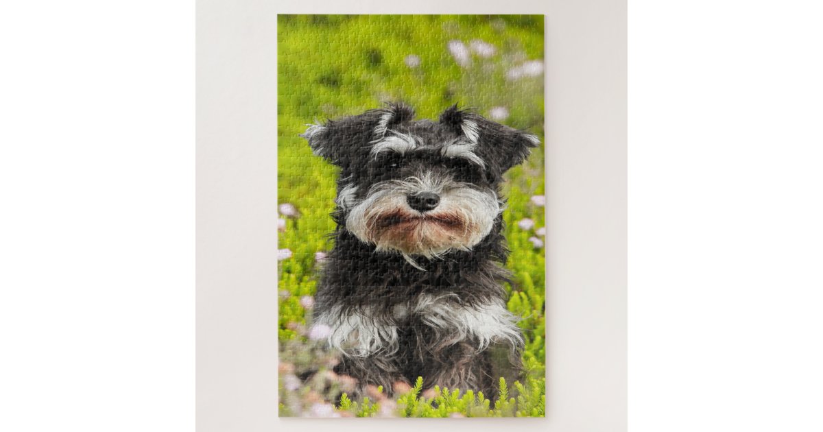Schnauzer Dog Jigsaws. Jigsaw Puzzle | Zazzle